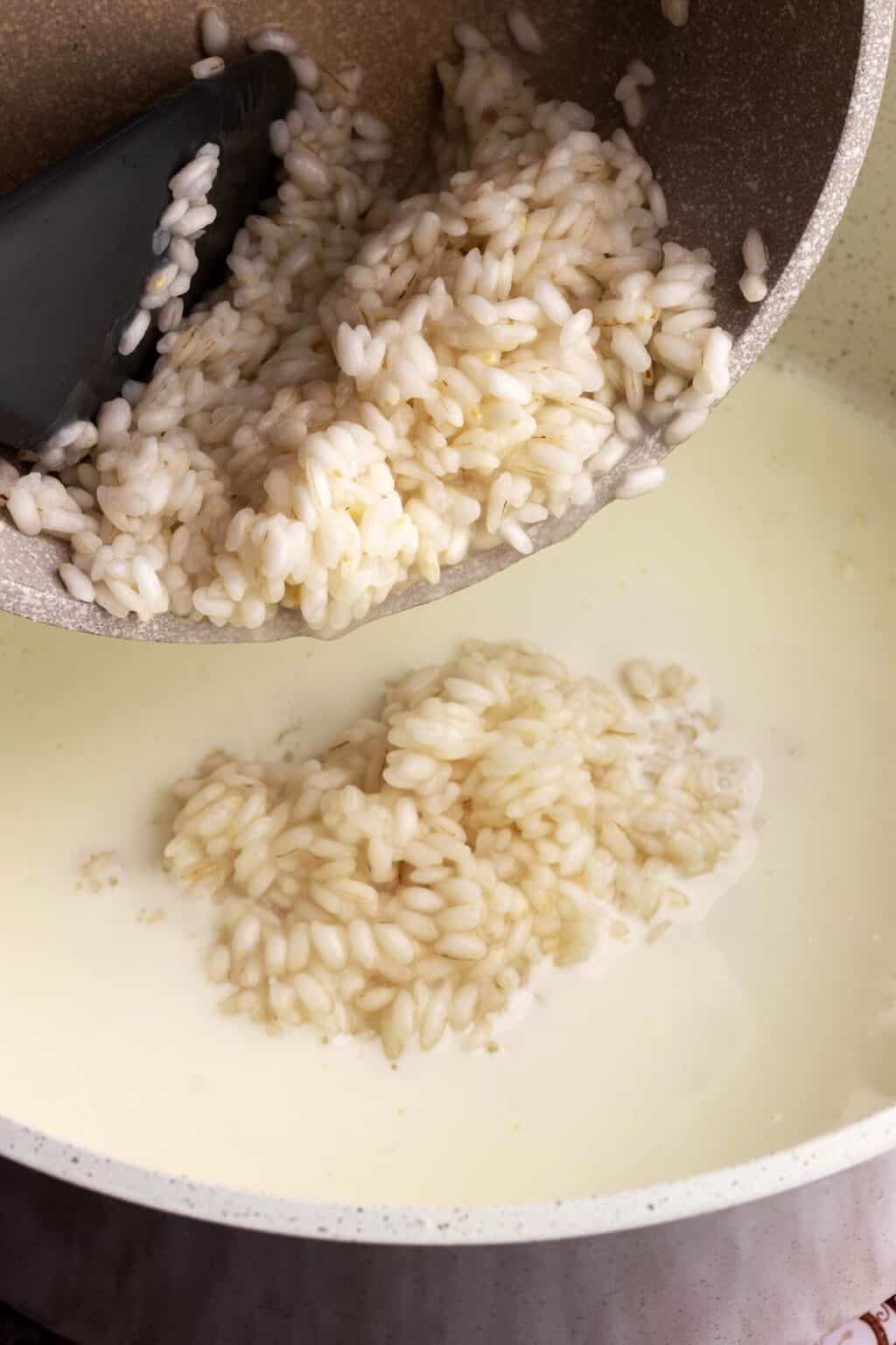 Sutlijaš - Balkan Rice Pudding - Cookhouse Diary